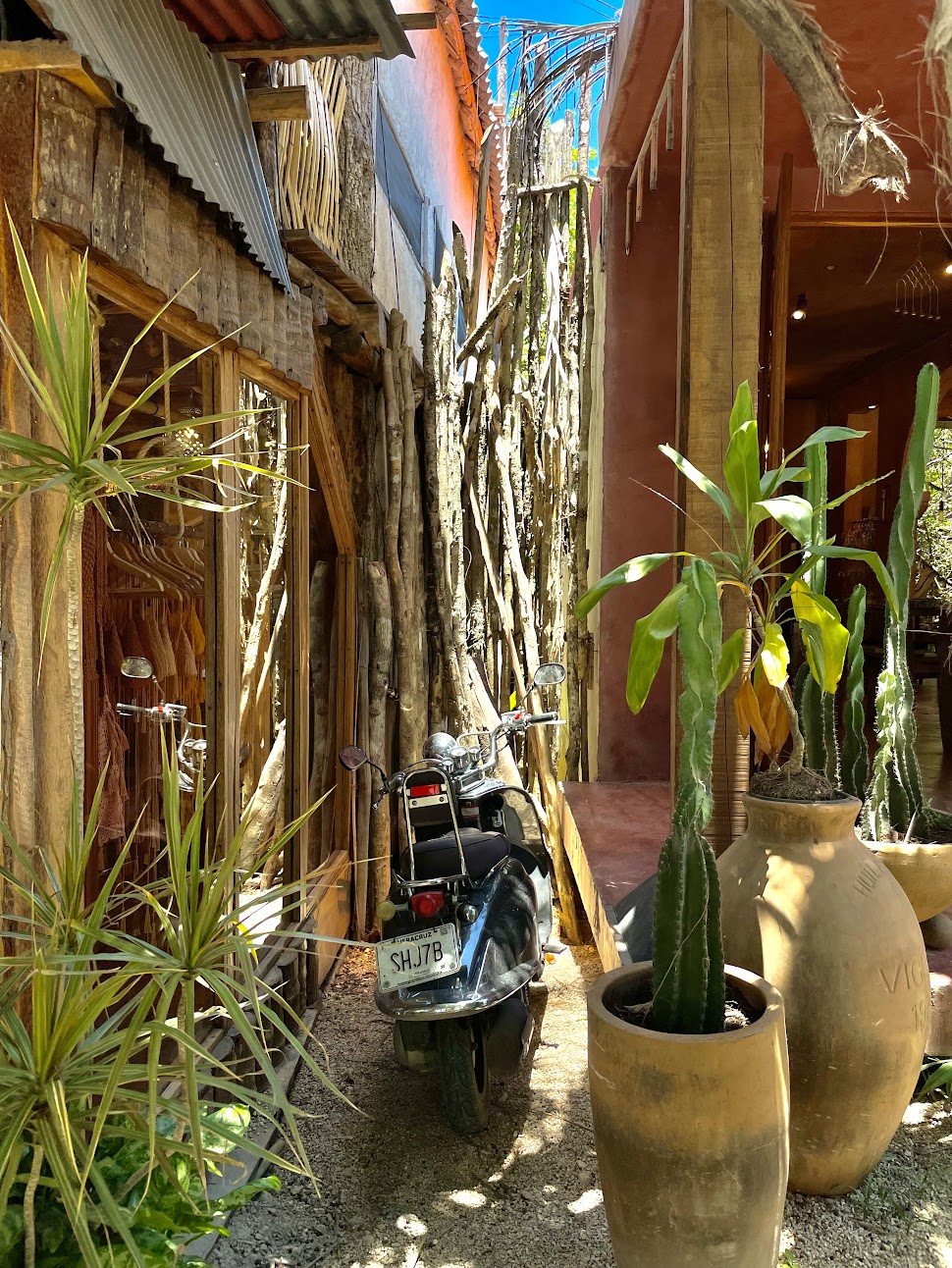 Everything you Need to Know Before Visiting Tulum 2025 - Coffee Orders Co.